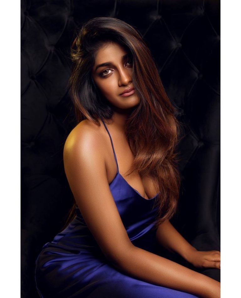 Dimple Hayathi Wiki : Age, Height, Photos, Biography, Flim 2025